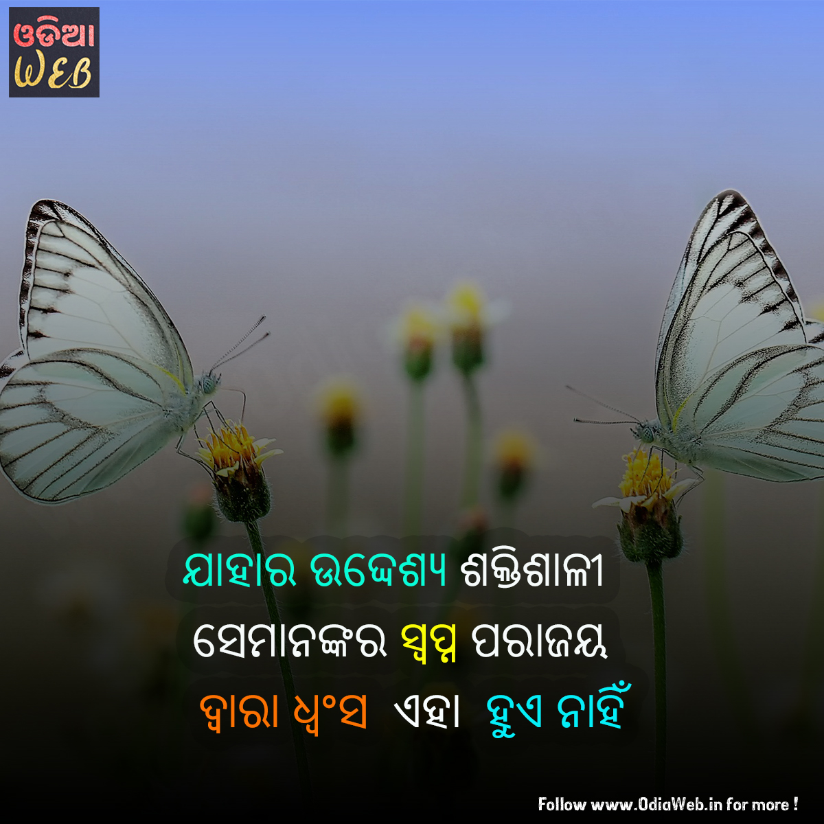 Top-5 Best Odia Inspiring Quotes On Life – OdiaWeb- Odia Film, Music ...