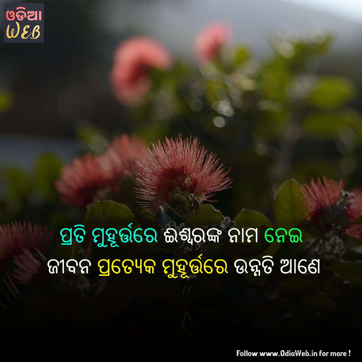Top-5 Best Odia Inspiring Quotes On Life – OdiaWeb- Odia Film, Music ...