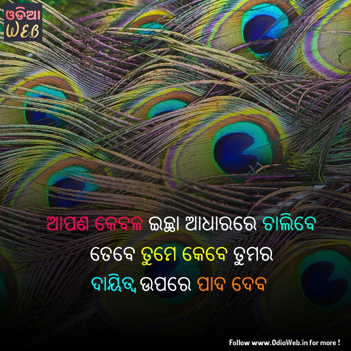 Top-5 Best Odia Inspiring Quotes On Life – OdiaWeb- Odia Film, Music ...