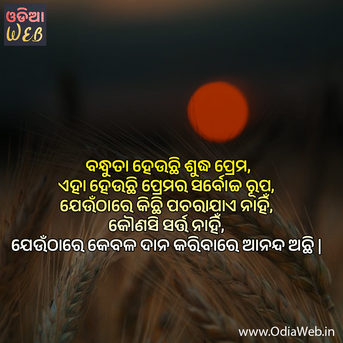 Top-5 Best Odia Osho Inspiring Quotes – OdiaWeb- Odia Film, Music ...