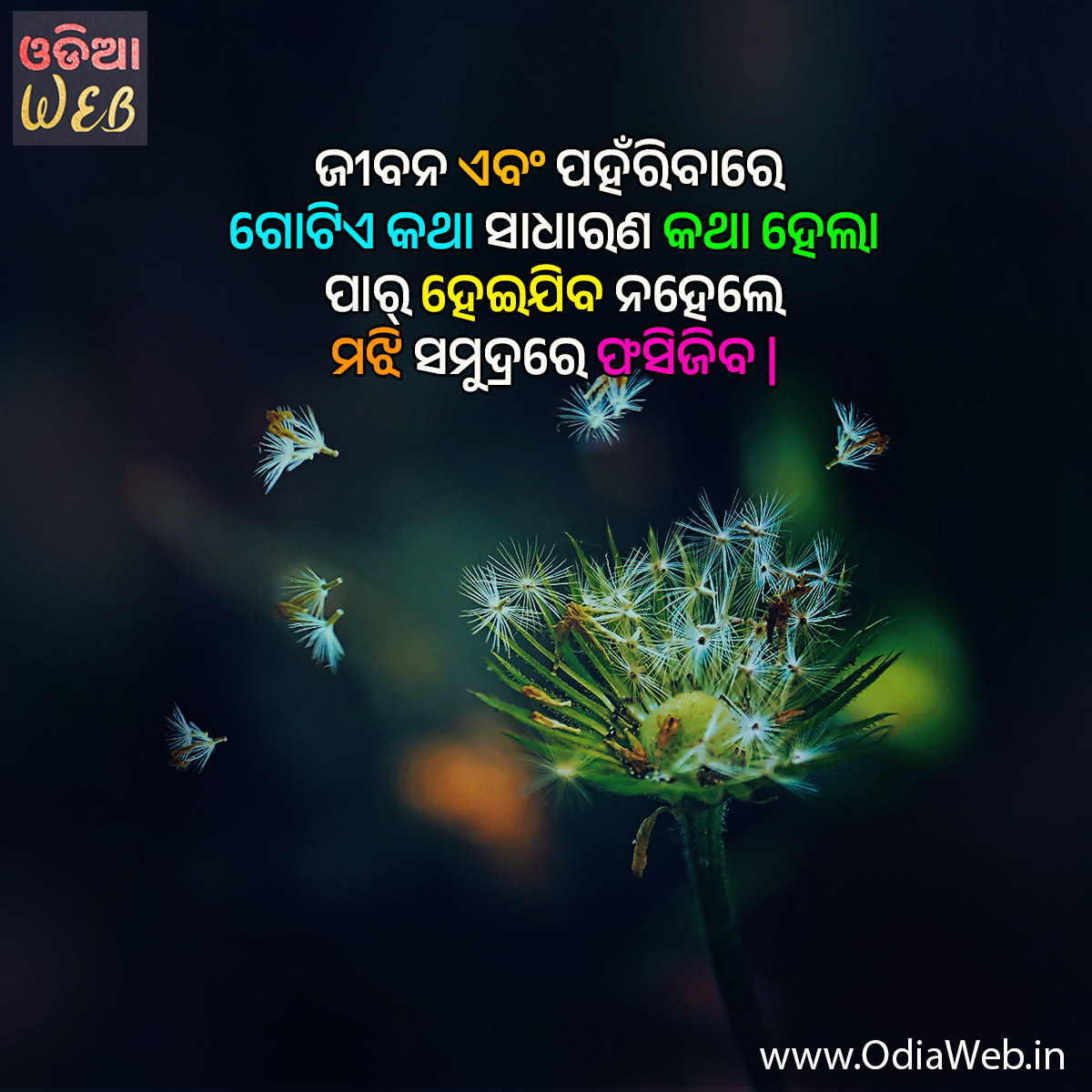Top-5 Best Odia Inspiring Quotes On Life – OdiaWeb- Odia Film, Music ...