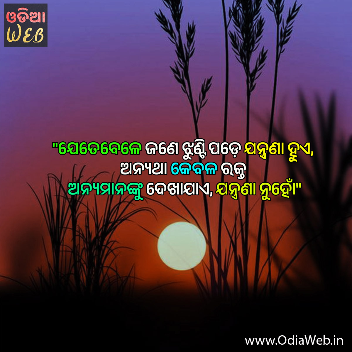 Top-5 Best Odia Inspiring Quotes On Life – OdiaWeb- Odia Film, Music ...