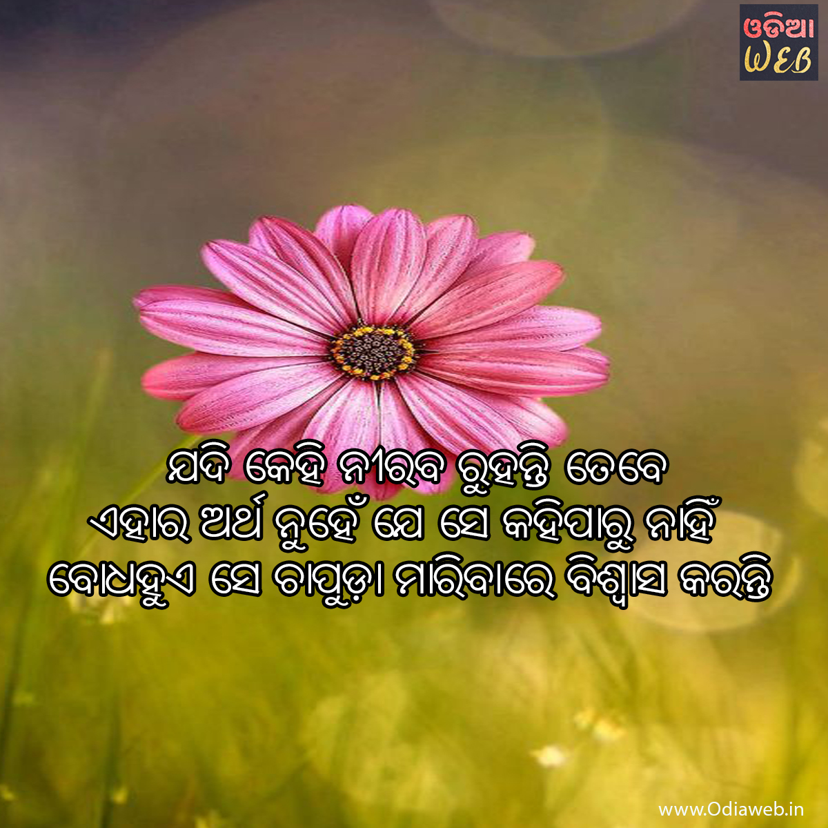 Top-5 Odia Attitude Sms Collection – OdiaWeb- Odia Film, Music, Songs ...