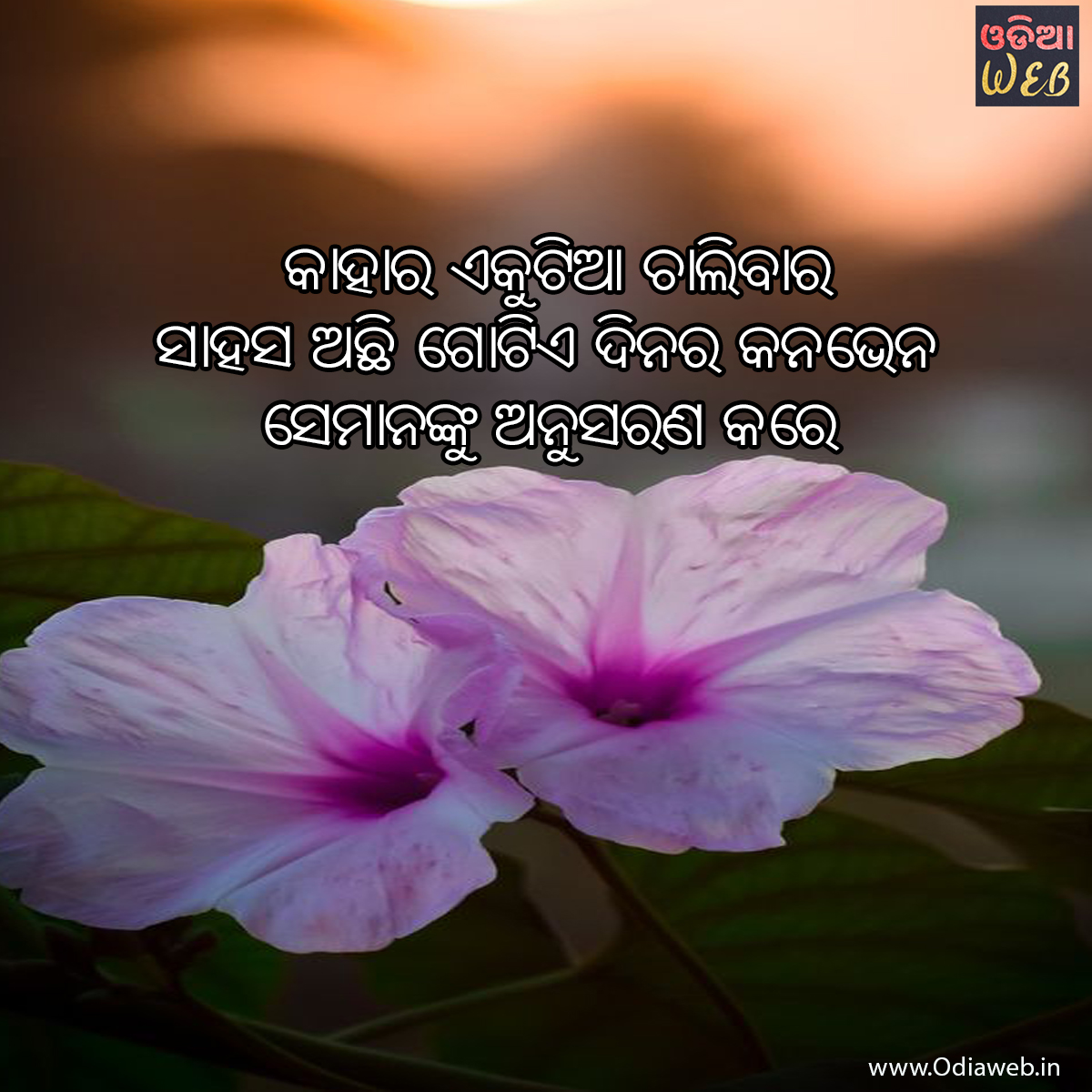 Top-5 Odia Attitude Sms Collection – OdiaWeb- Odia Film, Music, Songs ...