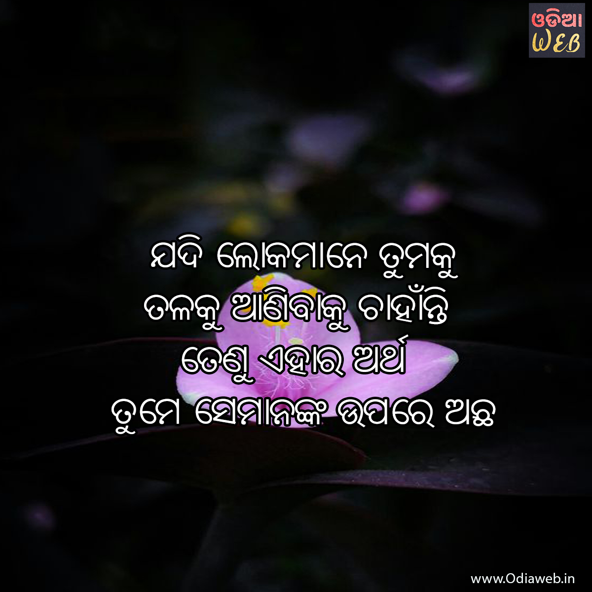 Top-5 Odia Attitude Sms Collection – OdiaWeb- Odia Film, Music, Songs ...